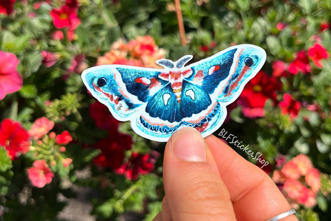 Moth Sticker Moth Wings Butterfly Sticker Gift Party Favor Butterfly ...