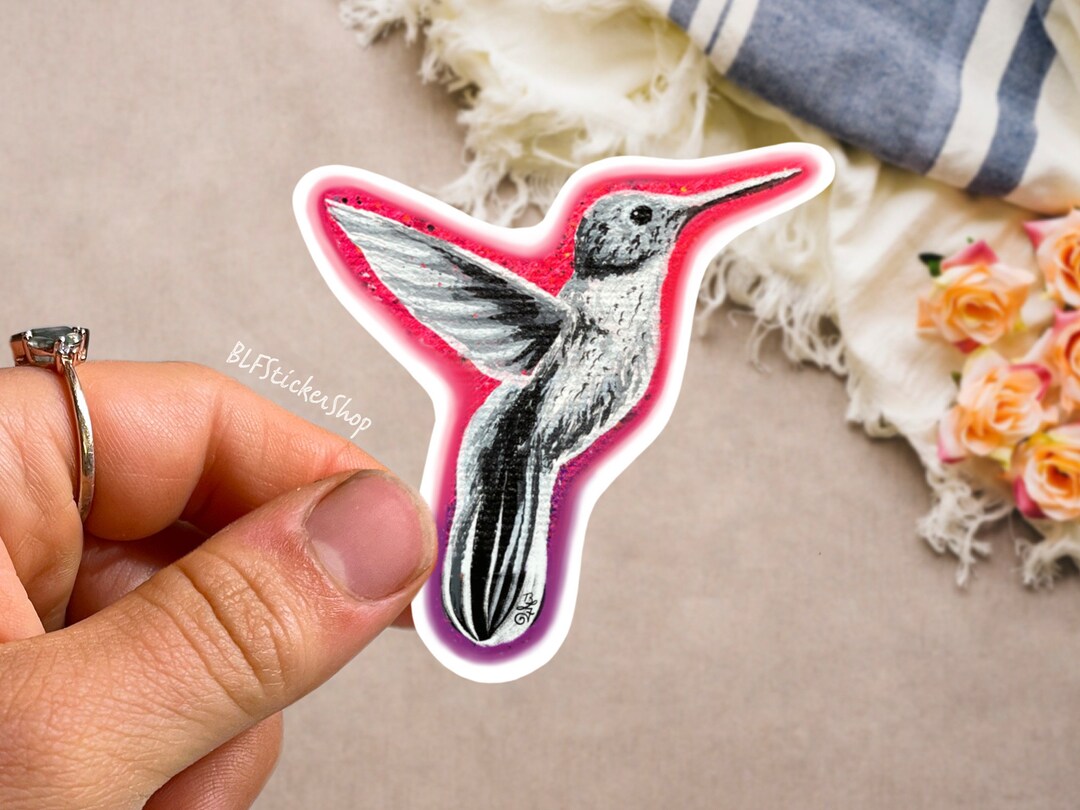 Hummingbird Sticker Vinyl Stickers Hummingbird Decal Bird Watching ...