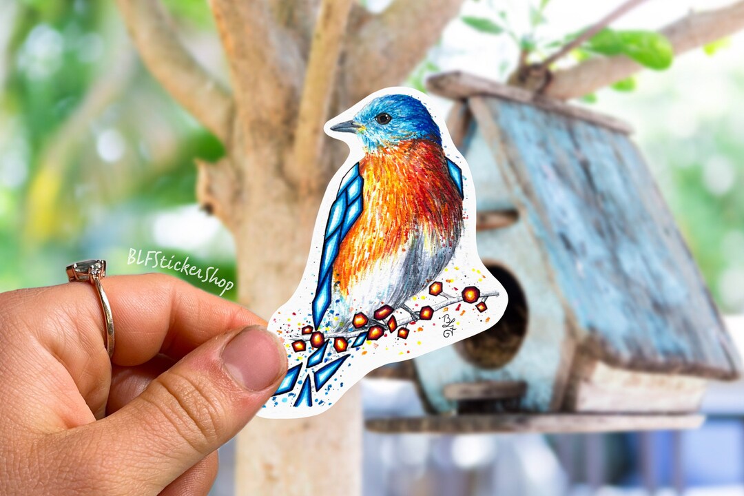 Eastern Mountain Blue Bird Sticker, Bird Stickers, Bird Watching ...