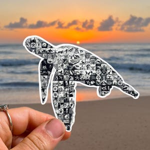 Sea Turtle Sticker Beach Sticker Sea Turtle Decal Ocean Stickers Hawaii ...