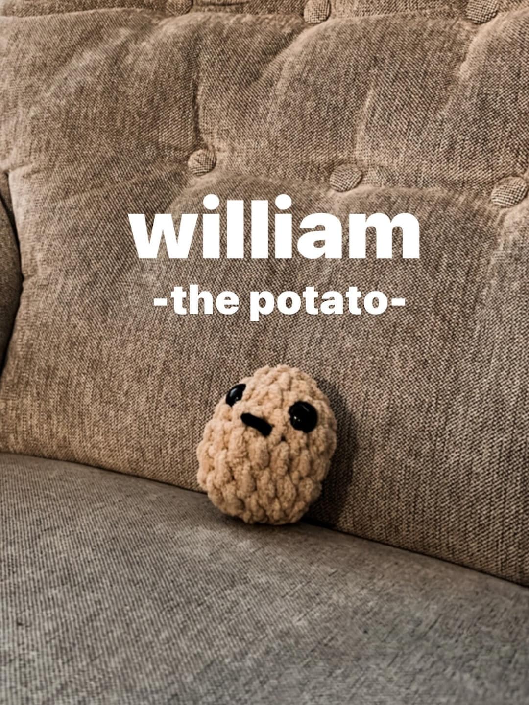 WILLIAM - Crocheted Potato Plush - Etsy
