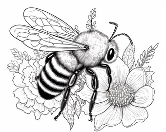 Sticker Stickers Colouring Coloring Kids Adult Color Activity DIY ...