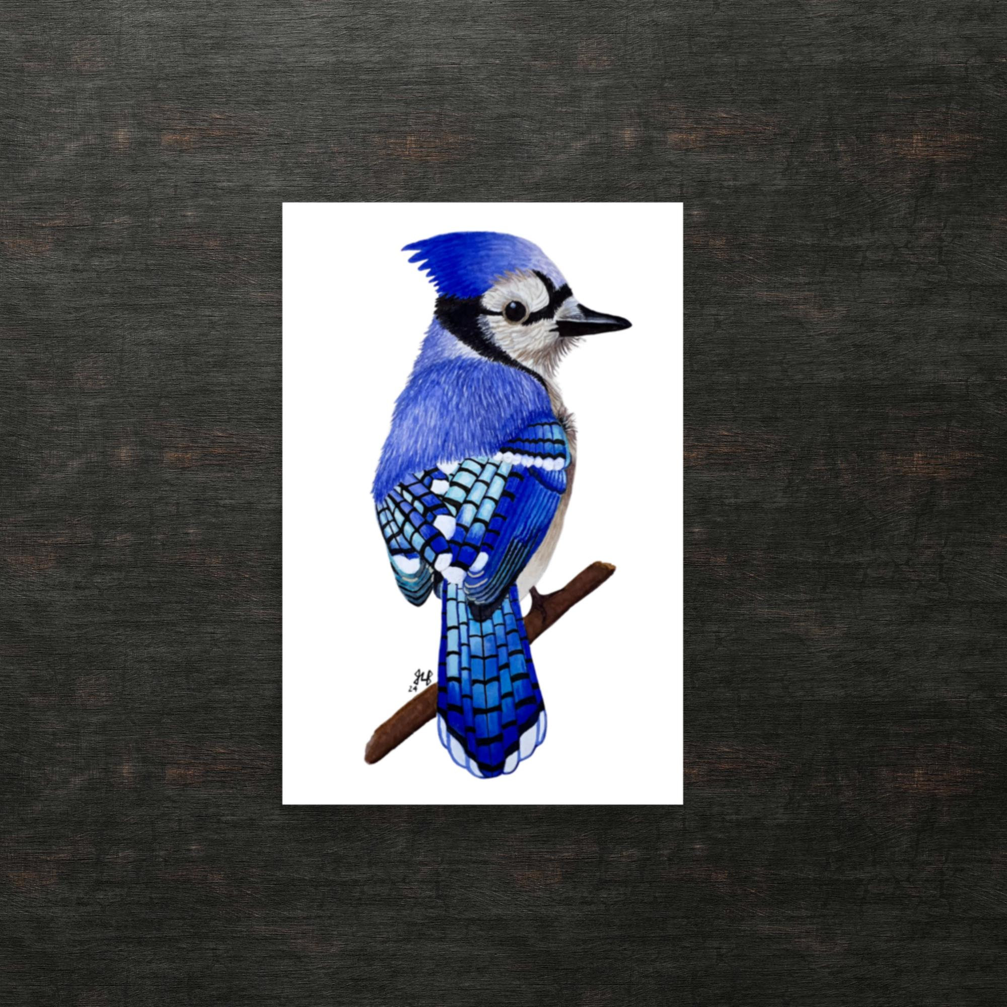 Print Realistic Watercolor Blue Jay Bird Painting - Etsy
