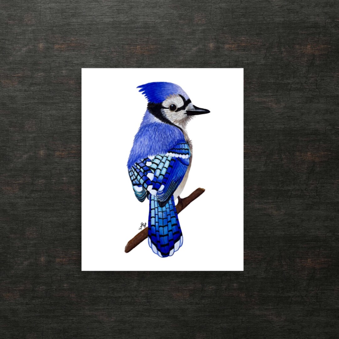 Print- Realistic Watercolor Blue Jay Bird Painting - Etsy