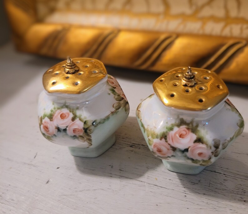 Vintage Favorite Bavaria Salt and Pepper Shakers Handpainted - Etsy