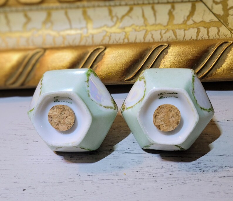 Vintage Favorite Bavaria Salt and Pepper Shakers Handpainted - Etsy