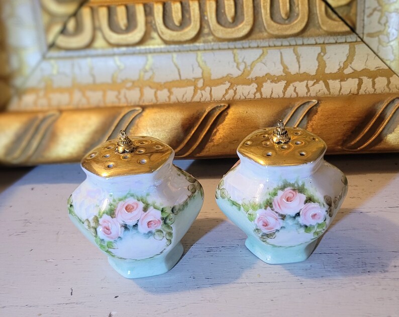 Vintage Favorite Bavaria Salt and Pepper Shakers Handpainted - Etsy