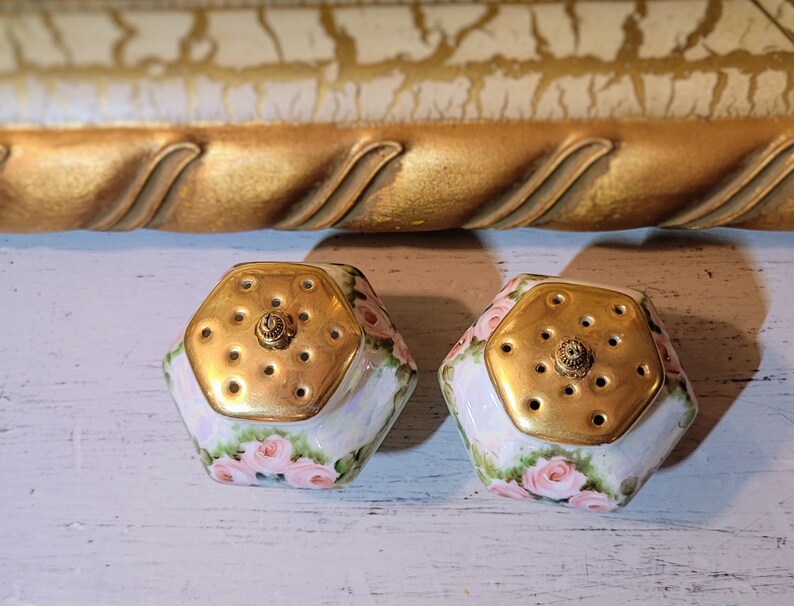 Vintage Favorite Bavaria Salt and Pepper Shakers Handpainted - Etsy