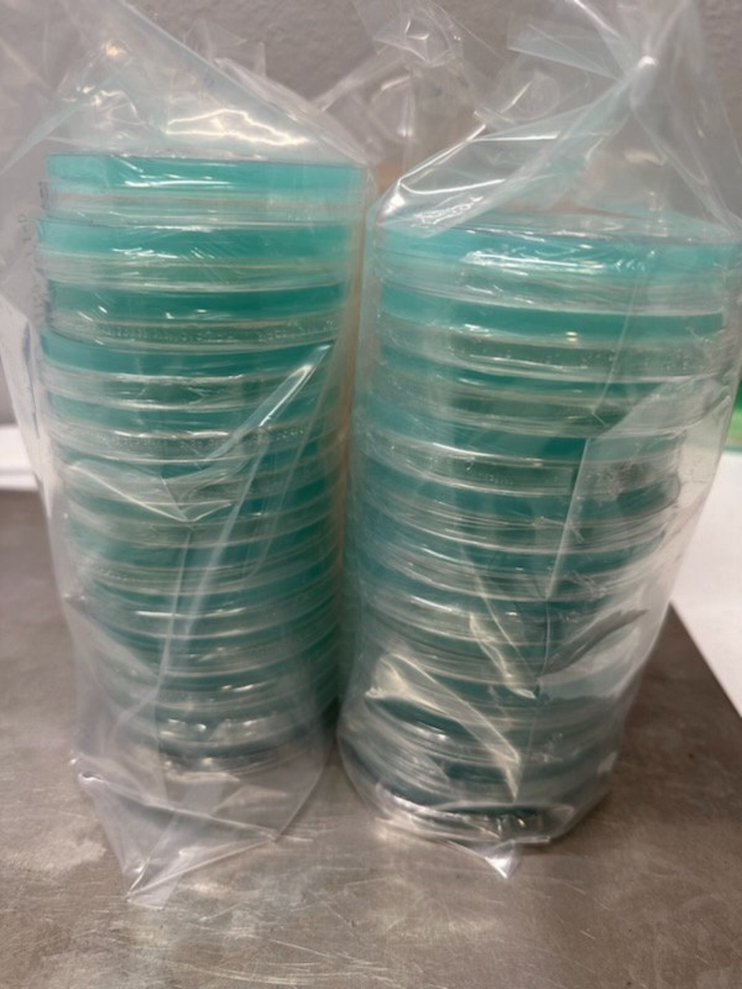 10 PACK Potato - Dextrose - Agar Pre Poured Petri Dish (PDA) - Etsy