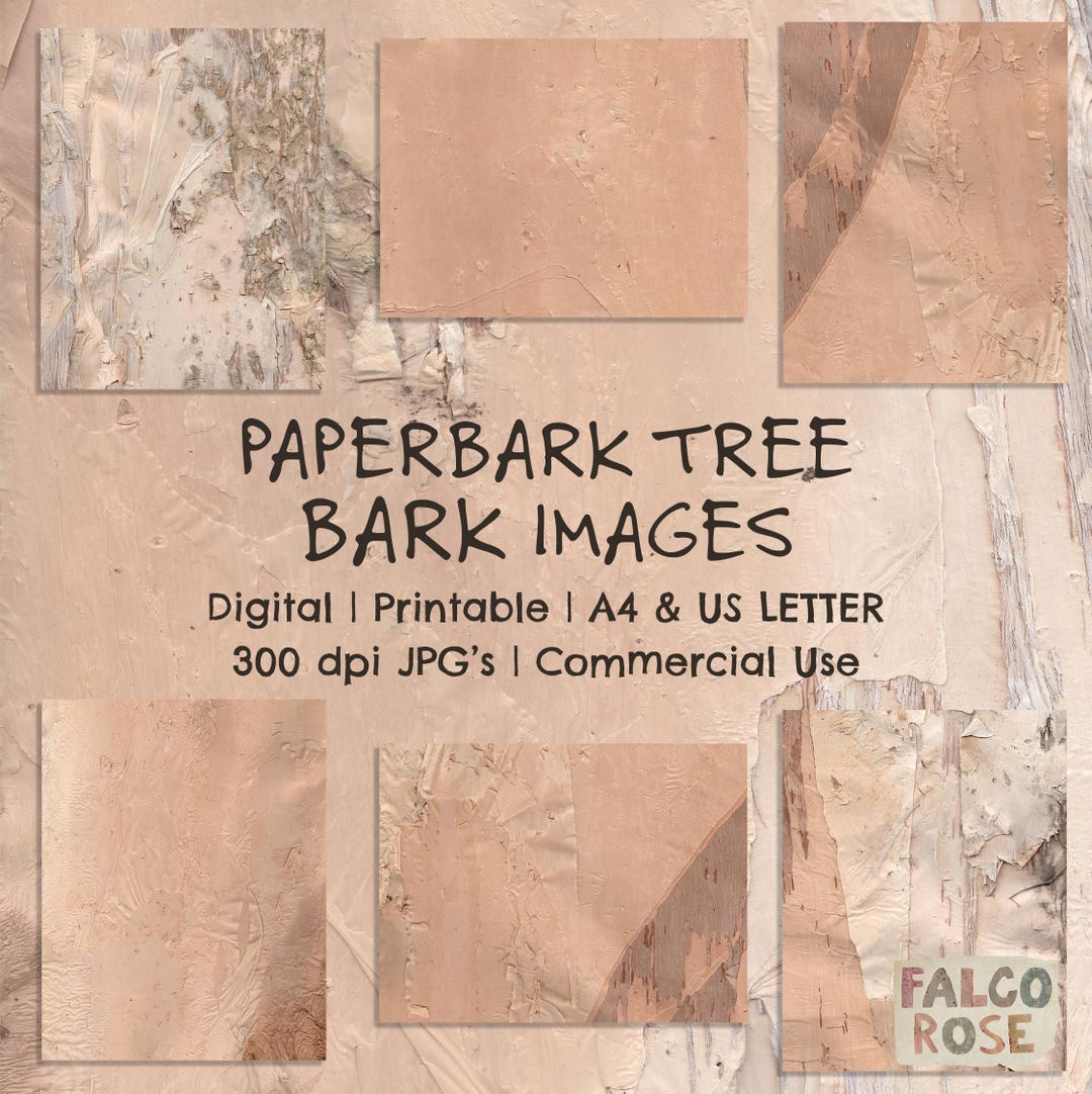 Pressed Paperbark Bark Images, Nature Papers Background, Printable ...