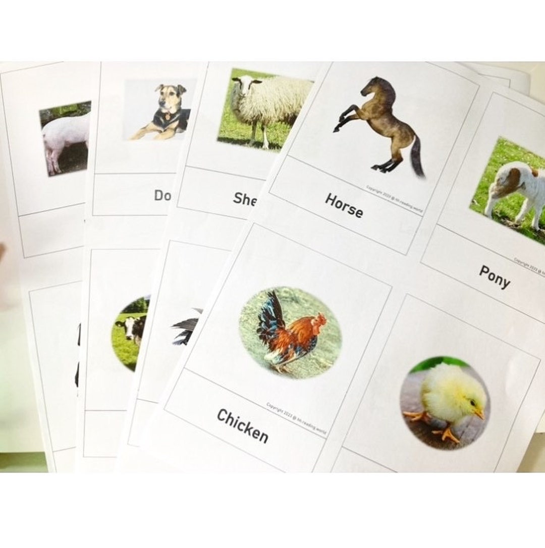 Bilingual Farm Animals Flashcards english and Chinese 農場動物主題中英雙語圖咭 - Etsy