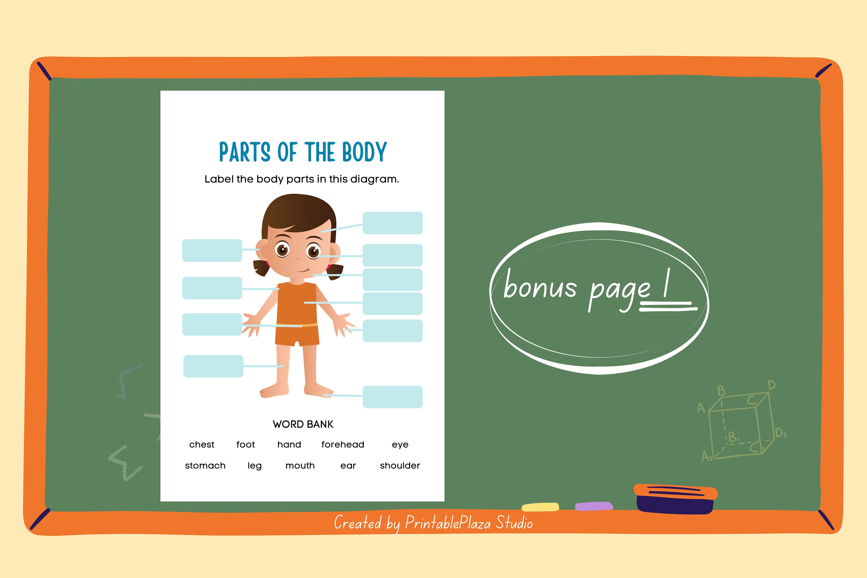 20 Body Parts Cards, Montessori Flashcards, Pre-school Cards, Rainbow ...