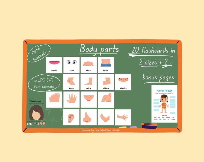 20 Body Parts Cards, Montessori Flashcards, Pre-school Cards, Rainbow ...