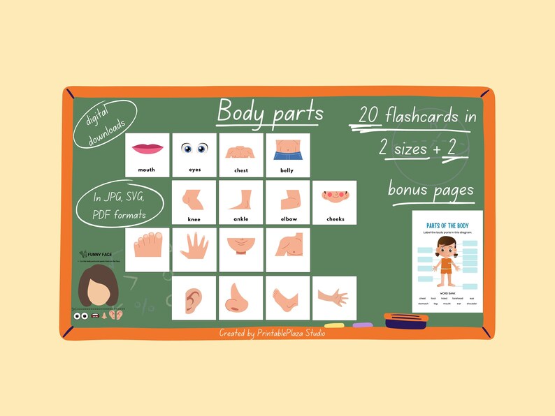 20 Body Parts Cards, Montessori Flashcards, Pre-school Cards, Rainbow ...