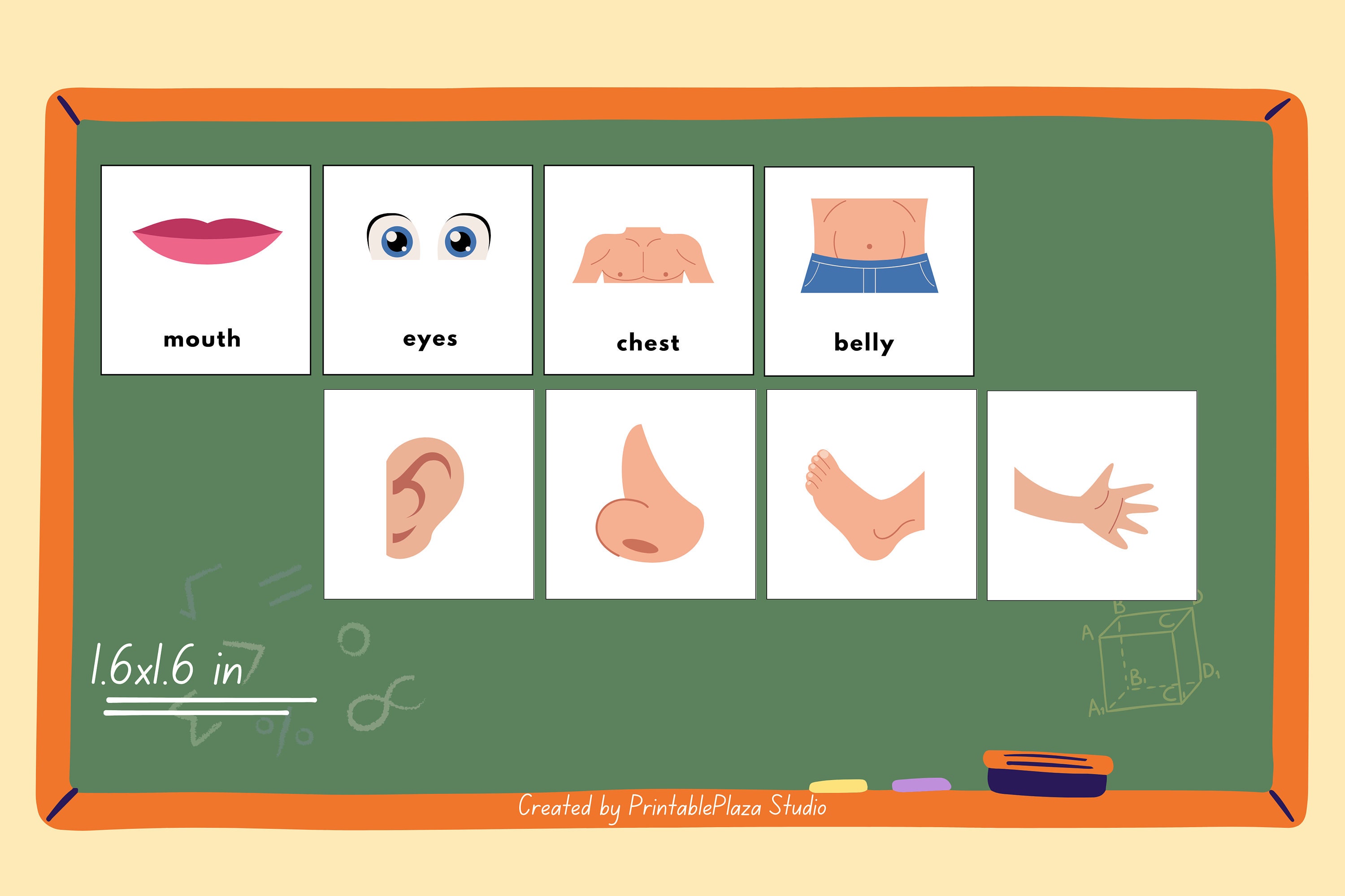 20 Body Parts Cards, Montessori Flashcards, Pre-school Cards, Rainbow ...