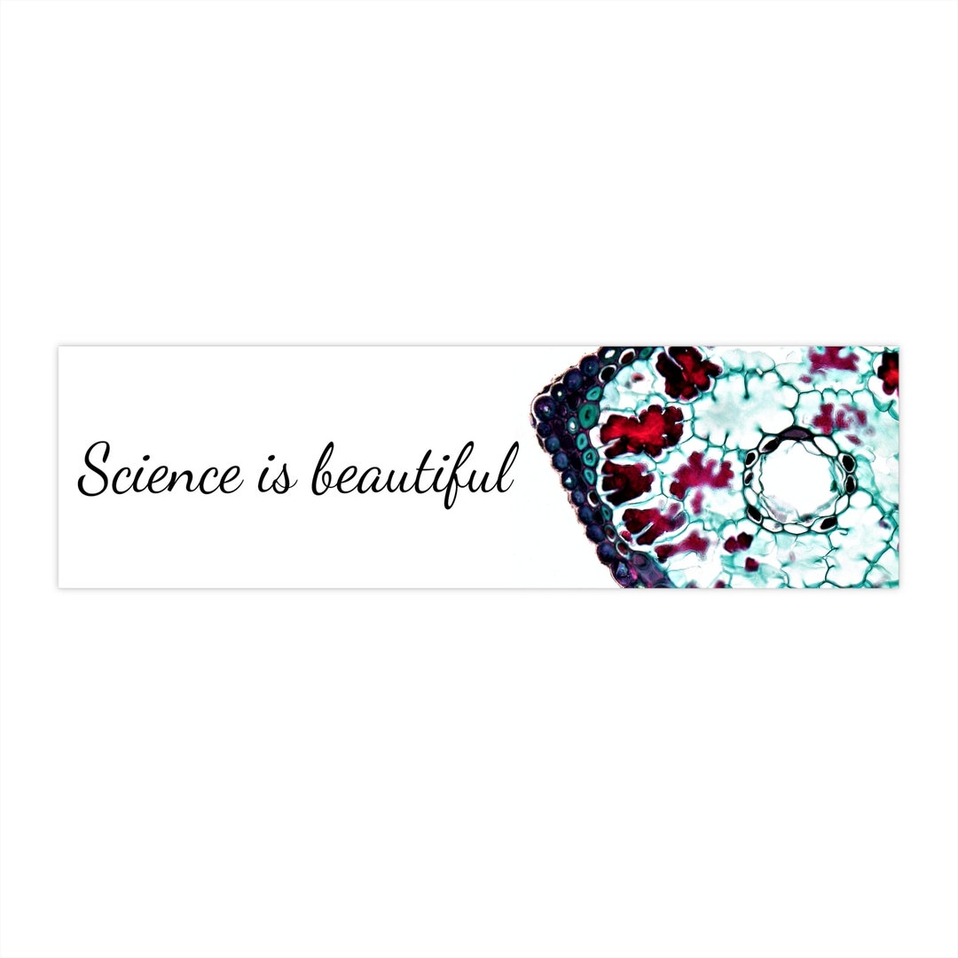 Science Bumper Sticker, Car Decal Gift for Scientists, Plant Cell ...