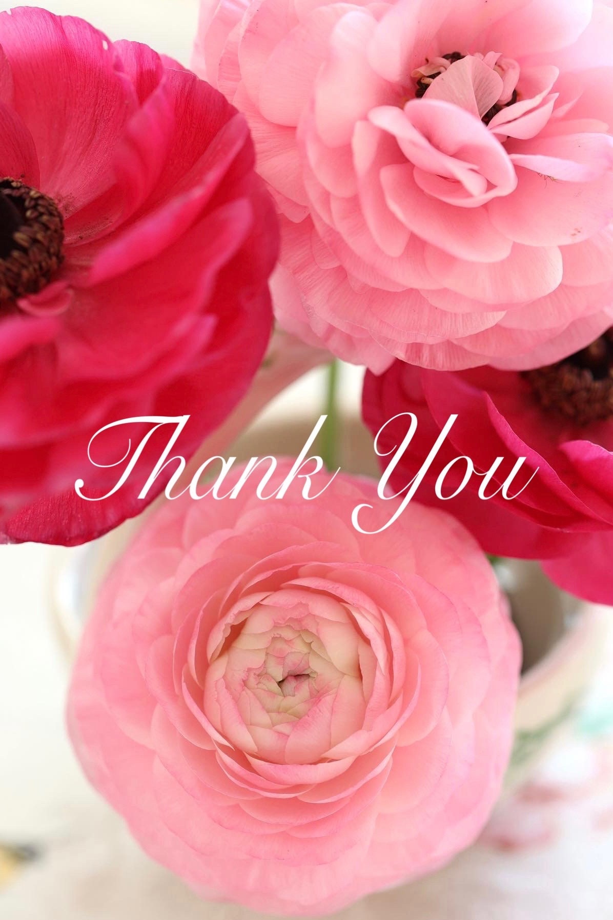Ranunculus Thank You Cards Flower Photo Cards - Etsy
