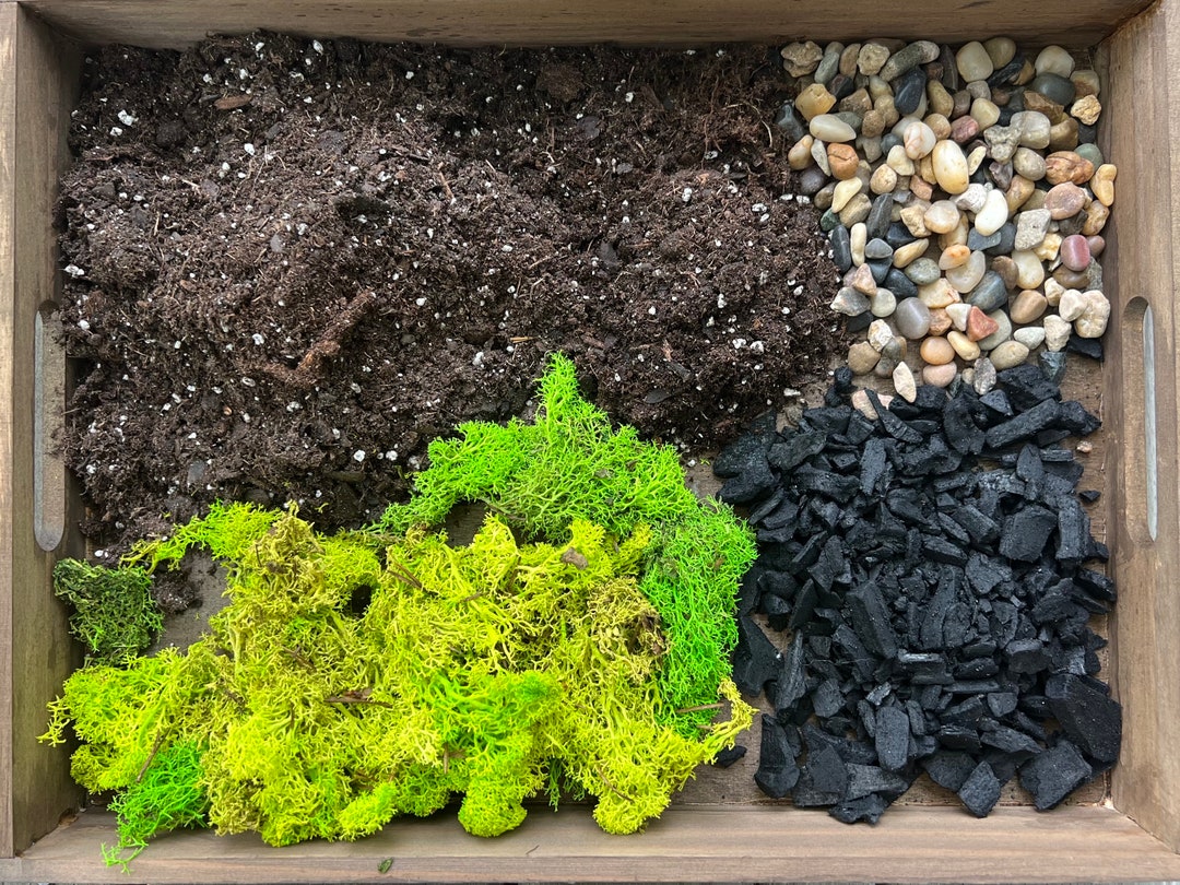 Terrarium Building Kit Just the Basics Indoor Garden - Etsy