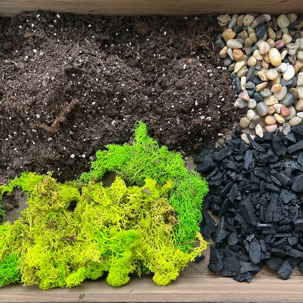 Terrarium Kit - Etsy