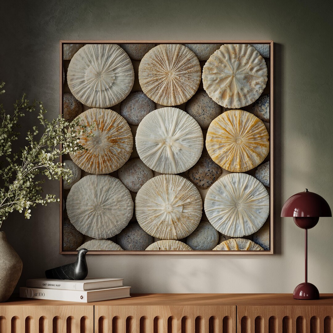 Sand Dollar Pattern, Elegant Coastal Design, Light Beach Print - Etsy
