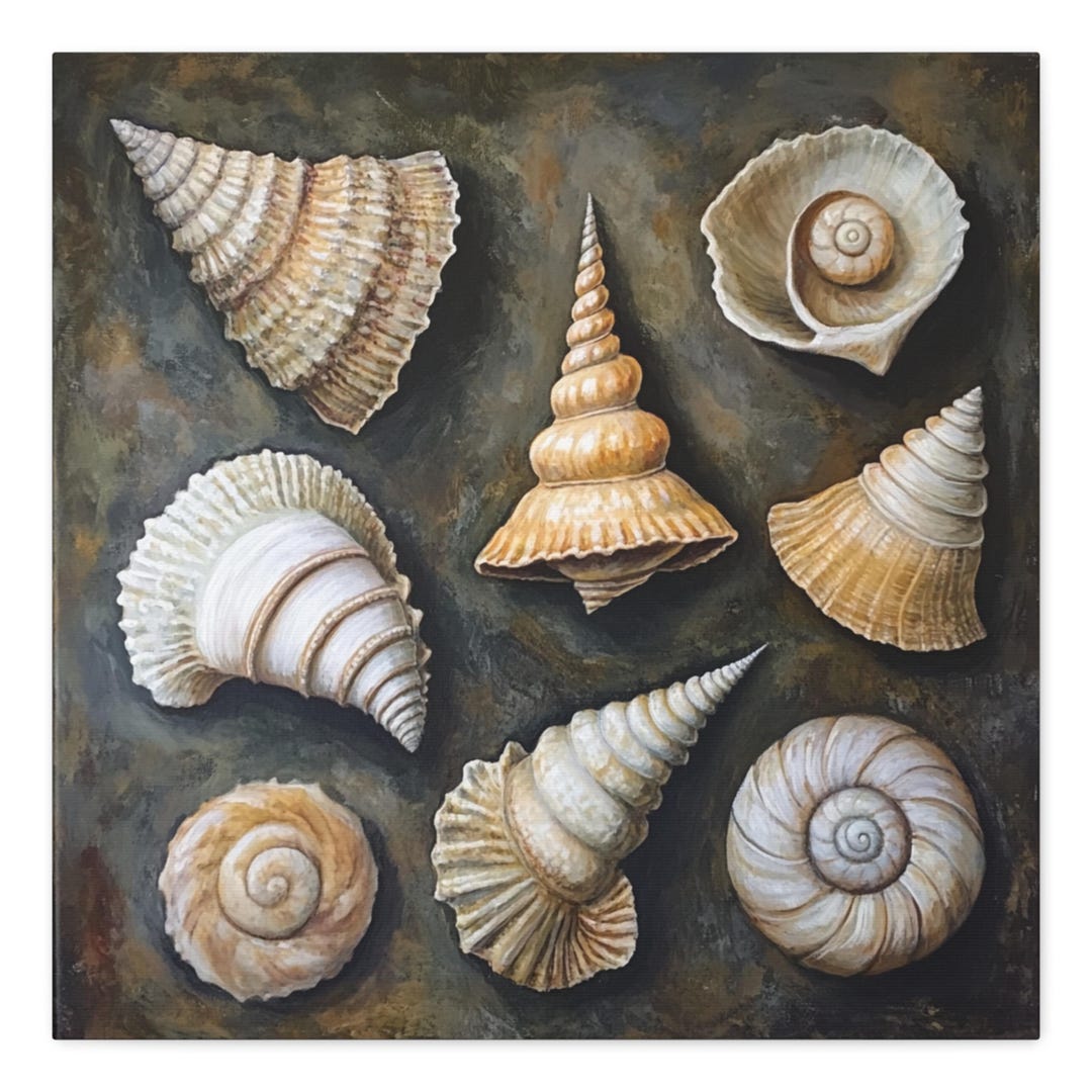 Boho Seashells Wall Art – Neutral Coastal Print - Etsy