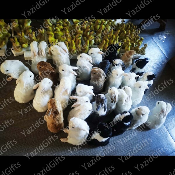 Taxidermy Rabbit - Etsy