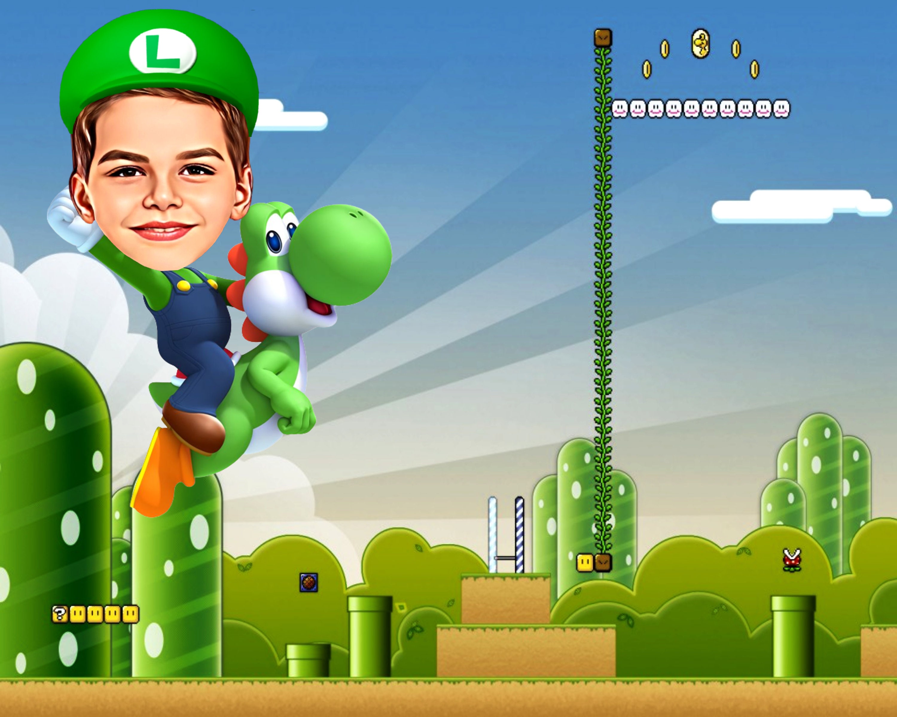 Mario and Luigi Bros Custom Portrait, Get Your Own Mario Portrait From ...