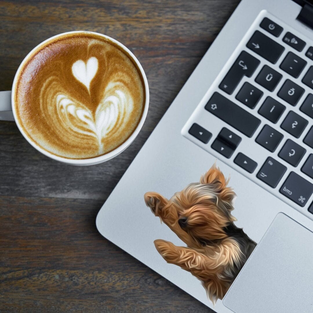 Yorkie Sticker / White & Transparent Options / 4 Sizes Available ...
