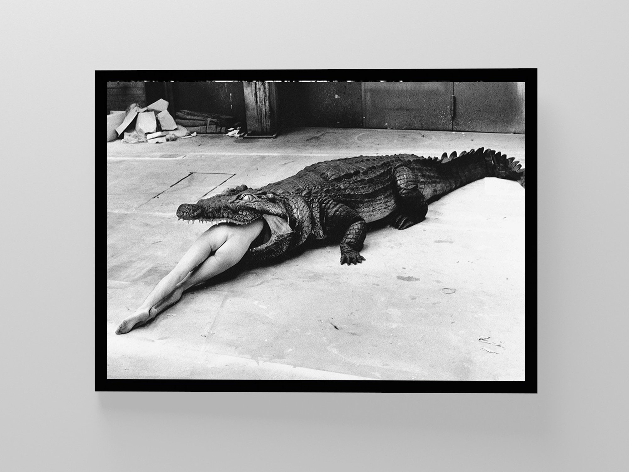 Helmut Newton Photography, Helmut Newton Poster, Helmut Newton Digital ...