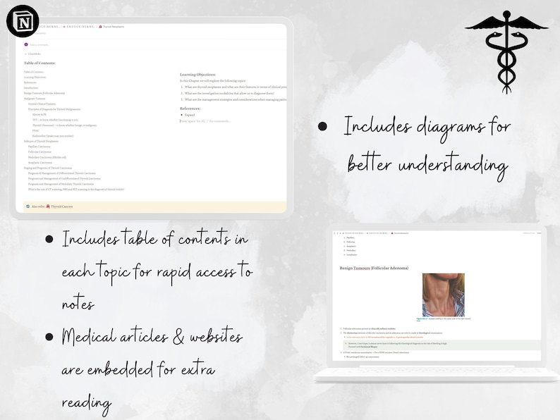 Notion Templates: Endocrine & Neurosurgery Medical Notes (digital ...