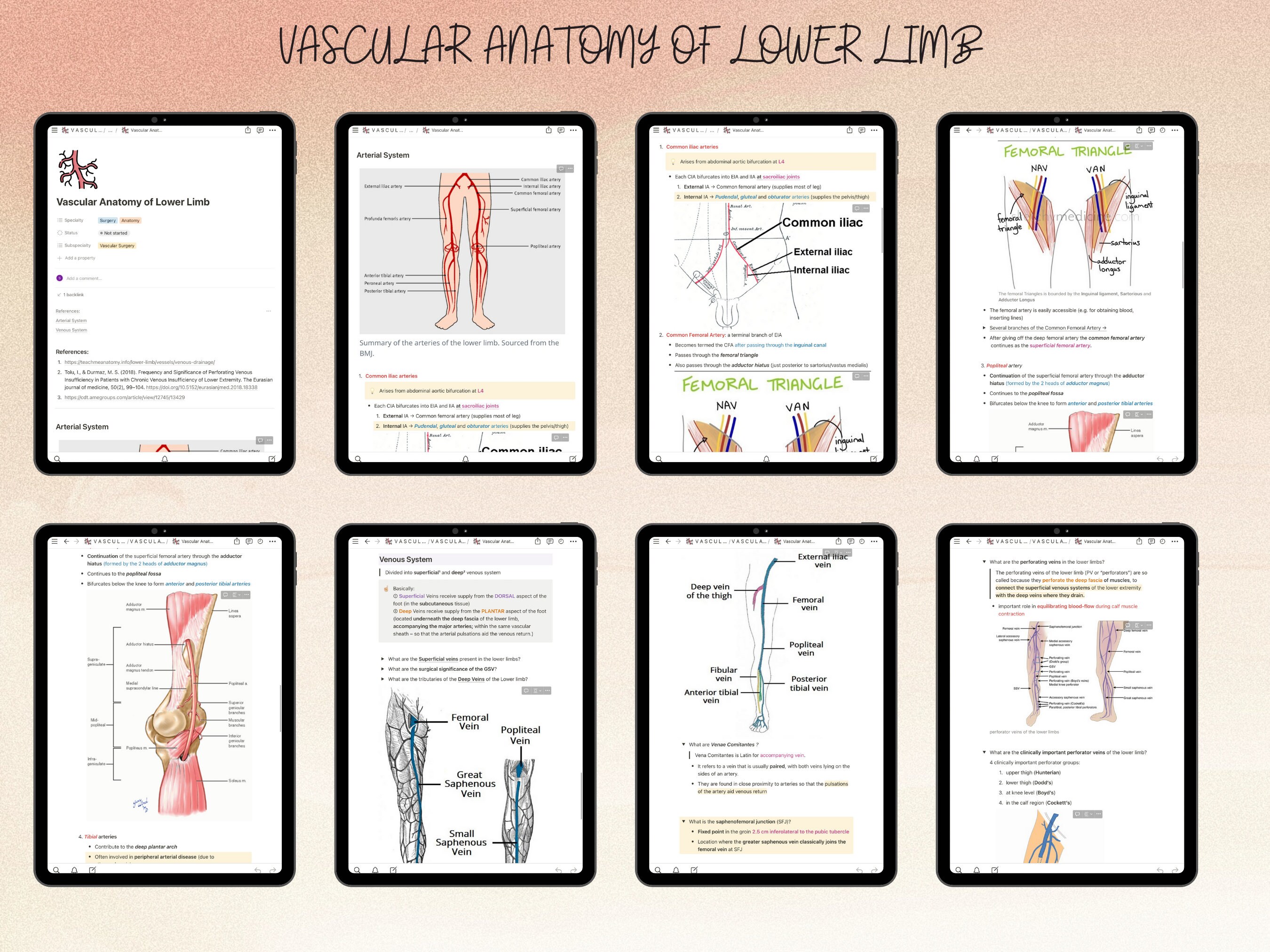 Notion Templates for Medical Students | Medical Notes | Digital Notes ...