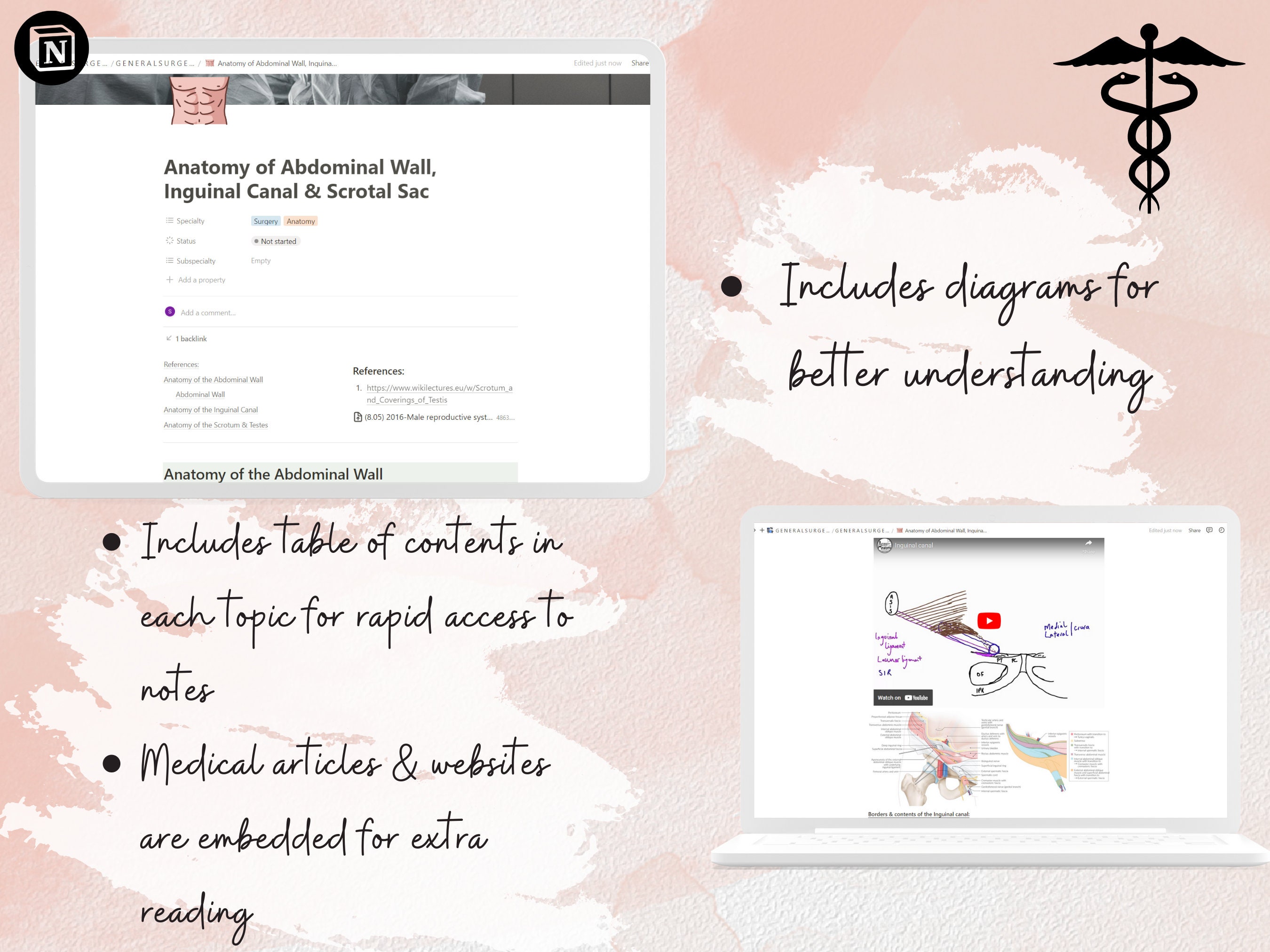 Notion Templates for Medical Students | Medical Notes | Digital Notes ...