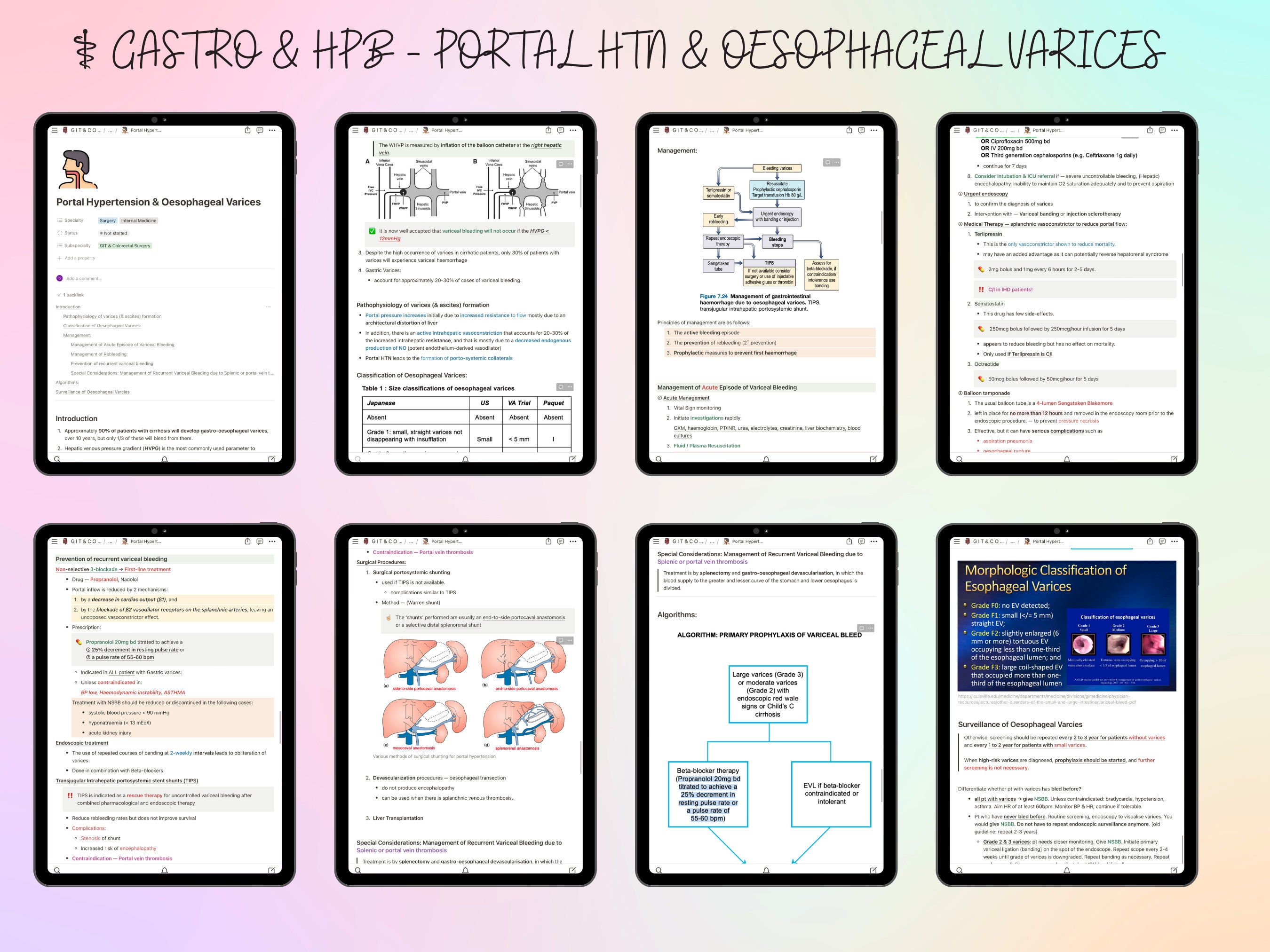 Internal Medicine Notion Template: Complete Medical School Notes ...