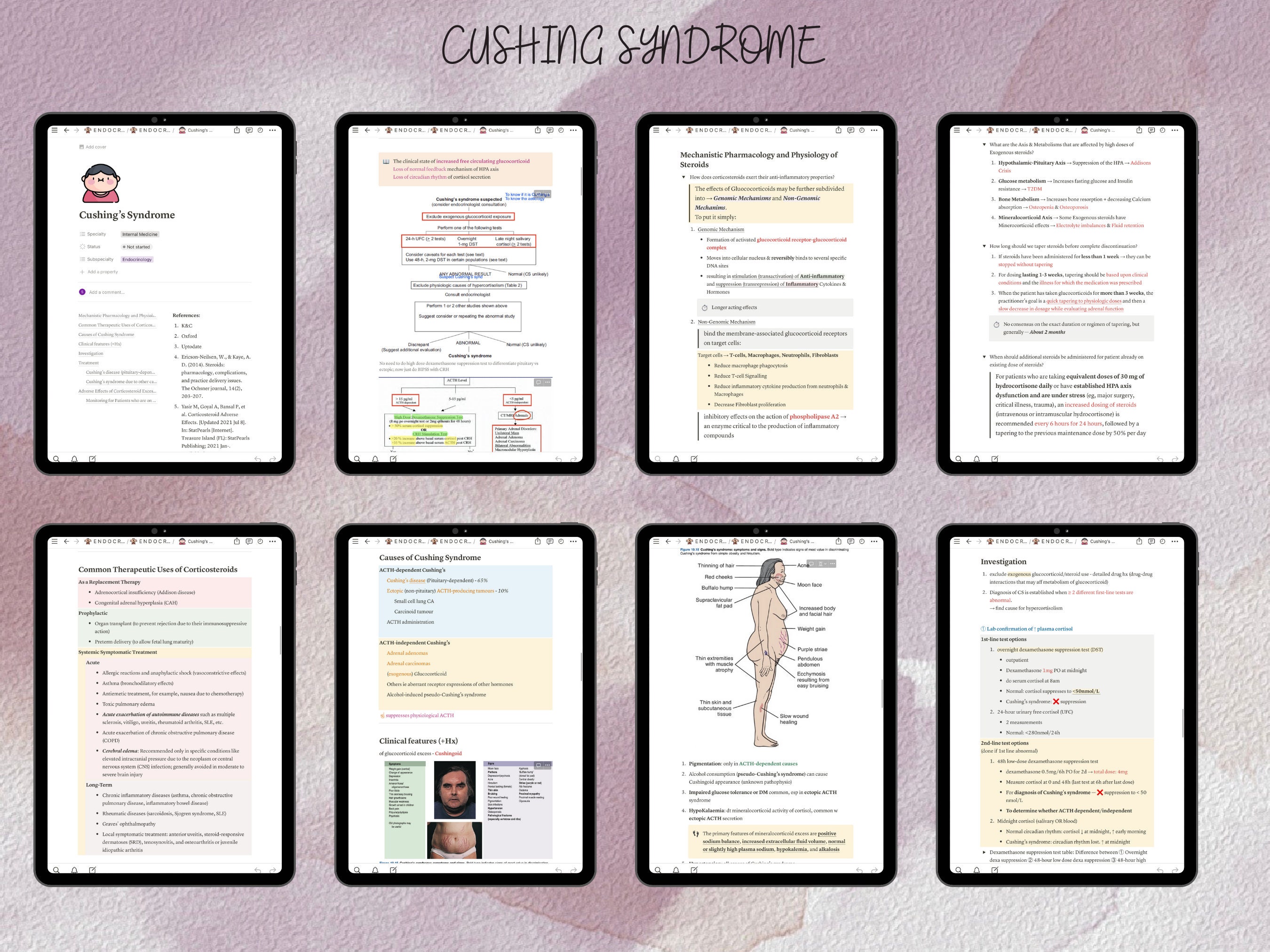 Notion Templates for Medical Students Medical Notes Digital Notes ...