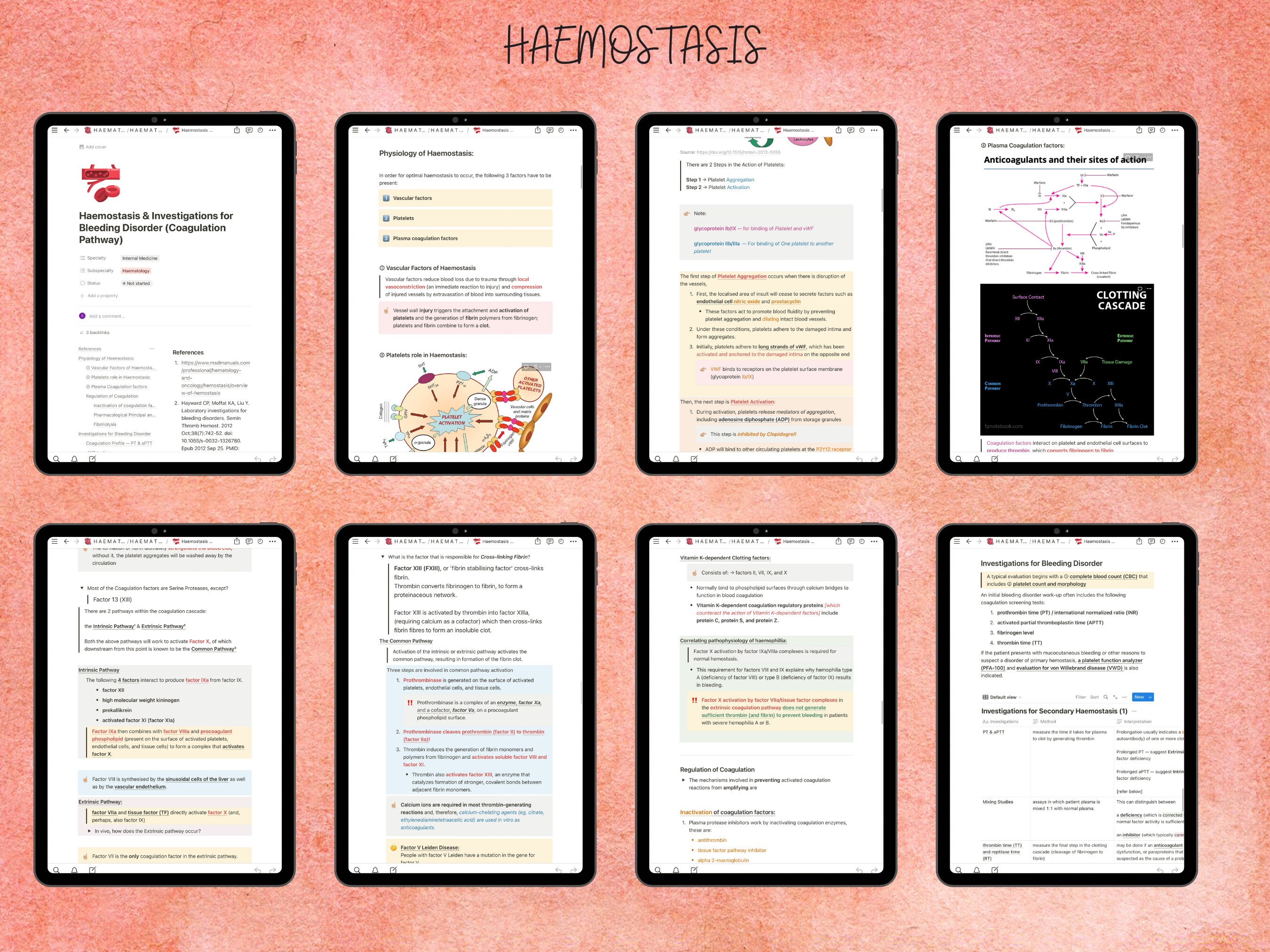 Notion Templates for Medical Students | Medical Notes | Digital Notes ...