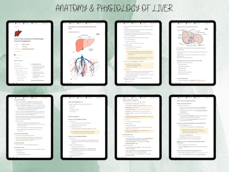 Notion Templates for Medical Students | Medical Notes | Digital Notes ...