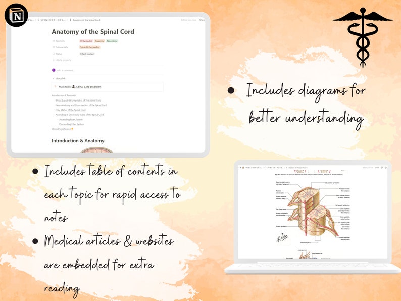 Notion Templates for Medical Students | Medical Notes | Digital Notes ...
