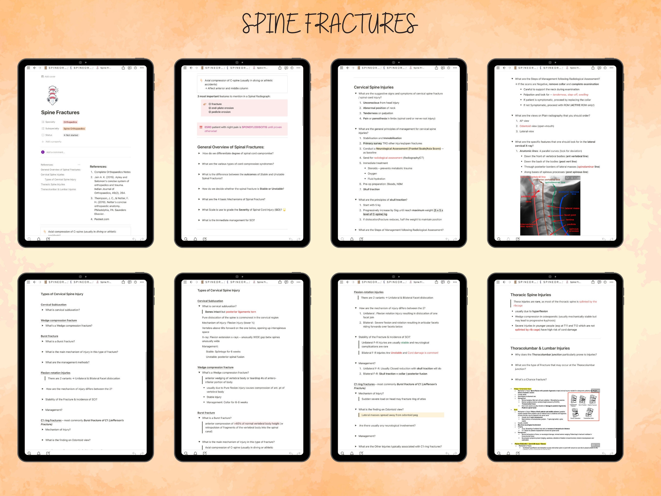 Notion Templates for Medical Students | Medical Notes | Digital Notes ...