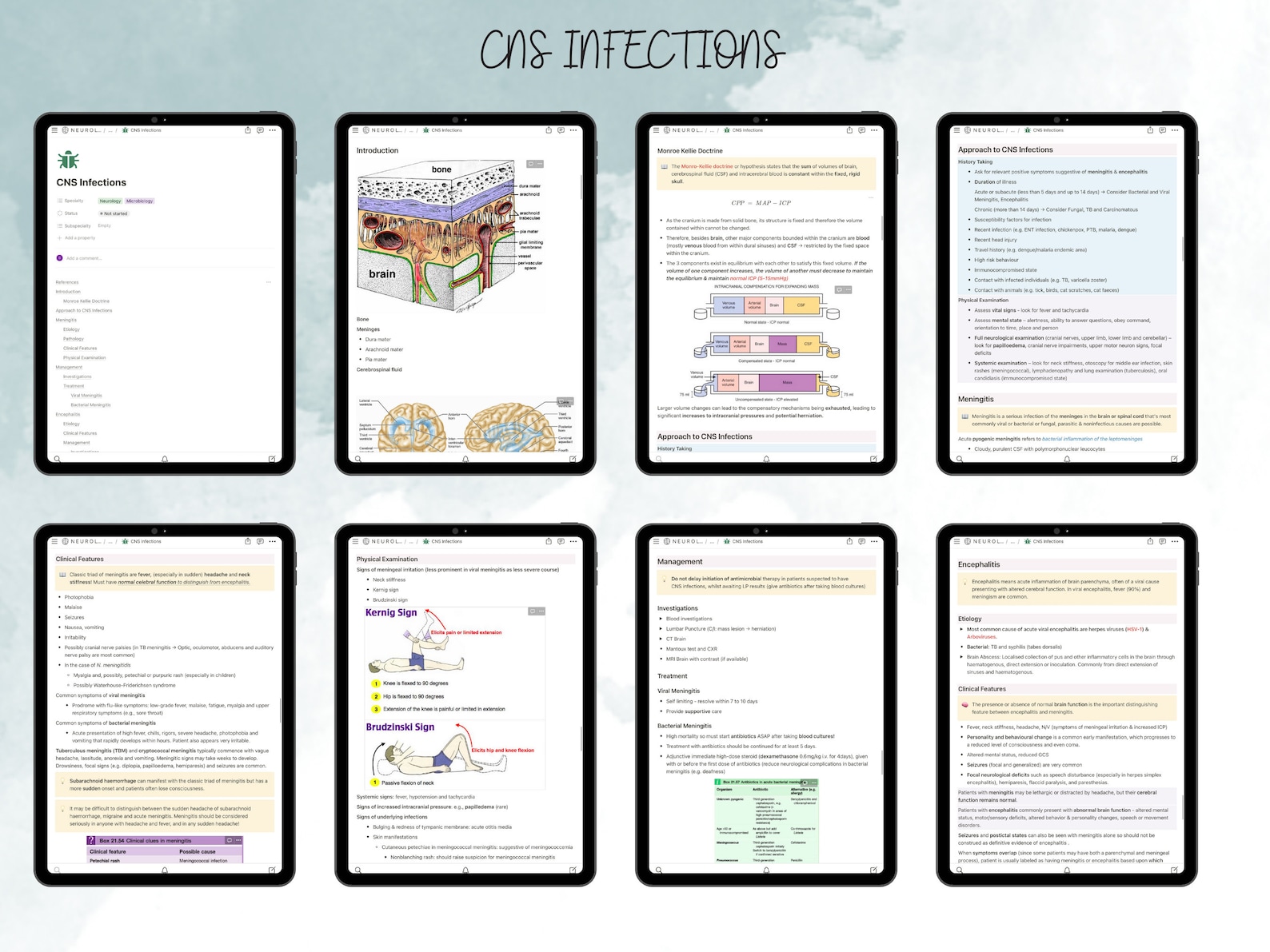 Notion Templates for Medical Students | Medical Notes | Digital Notes ...