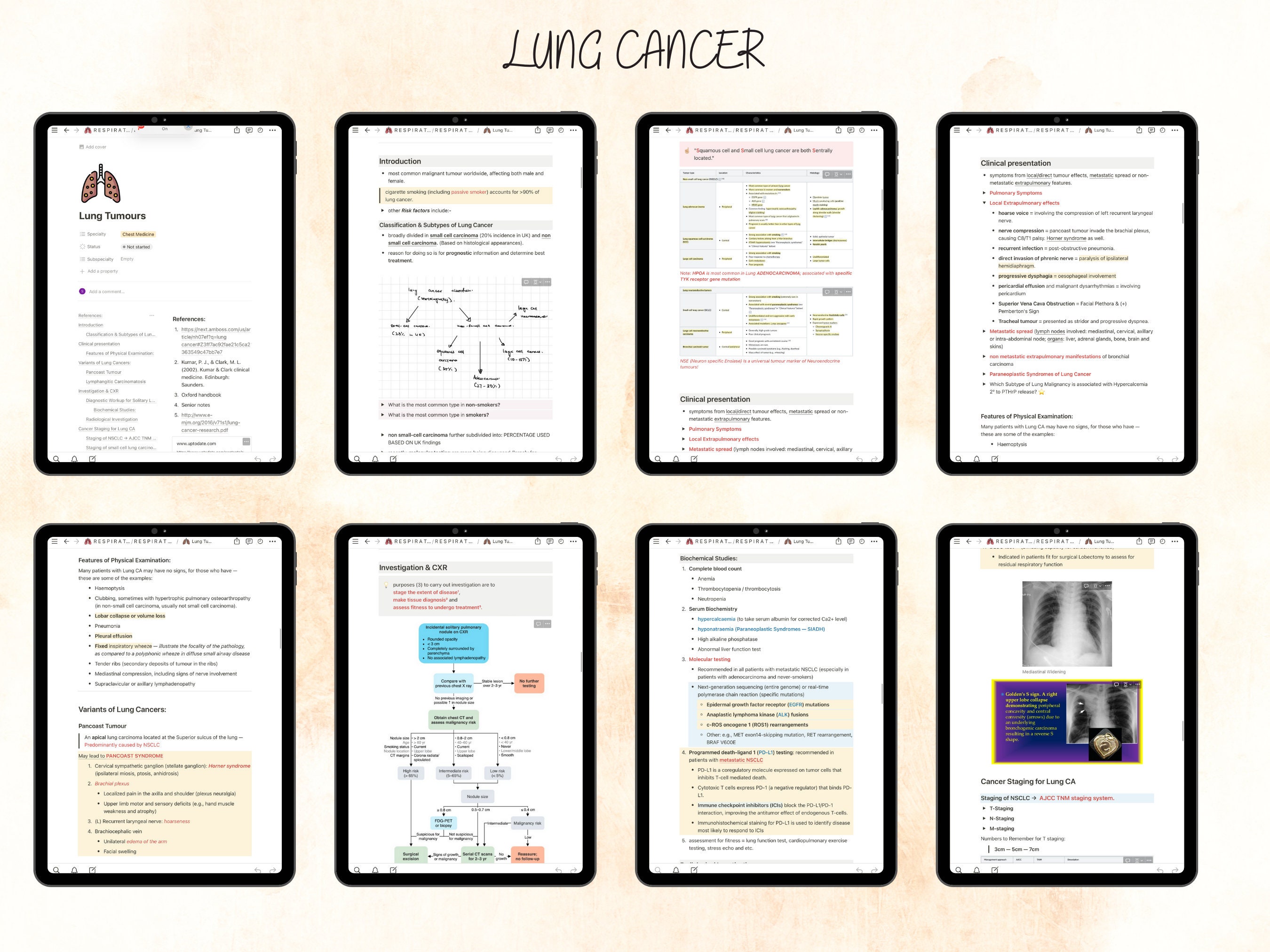 Notion Templates for Medical Students | Medical Notes | Digital Notes ...