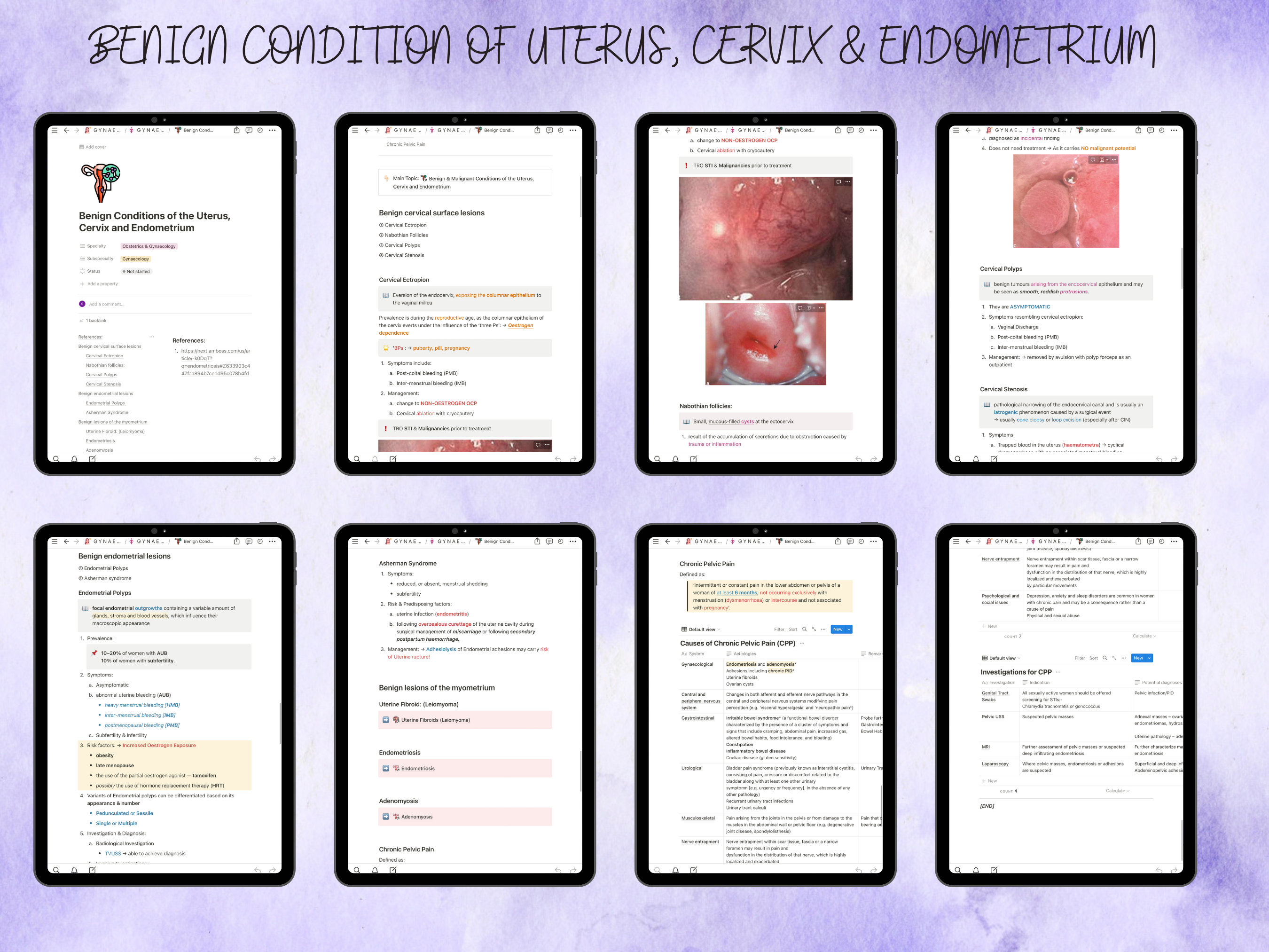 Gynaecology Notion Template: Medical Student Digital Notes (digital ...