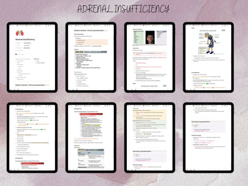 Notion Templates for Medical Students Medical Notes Digital Notes ...