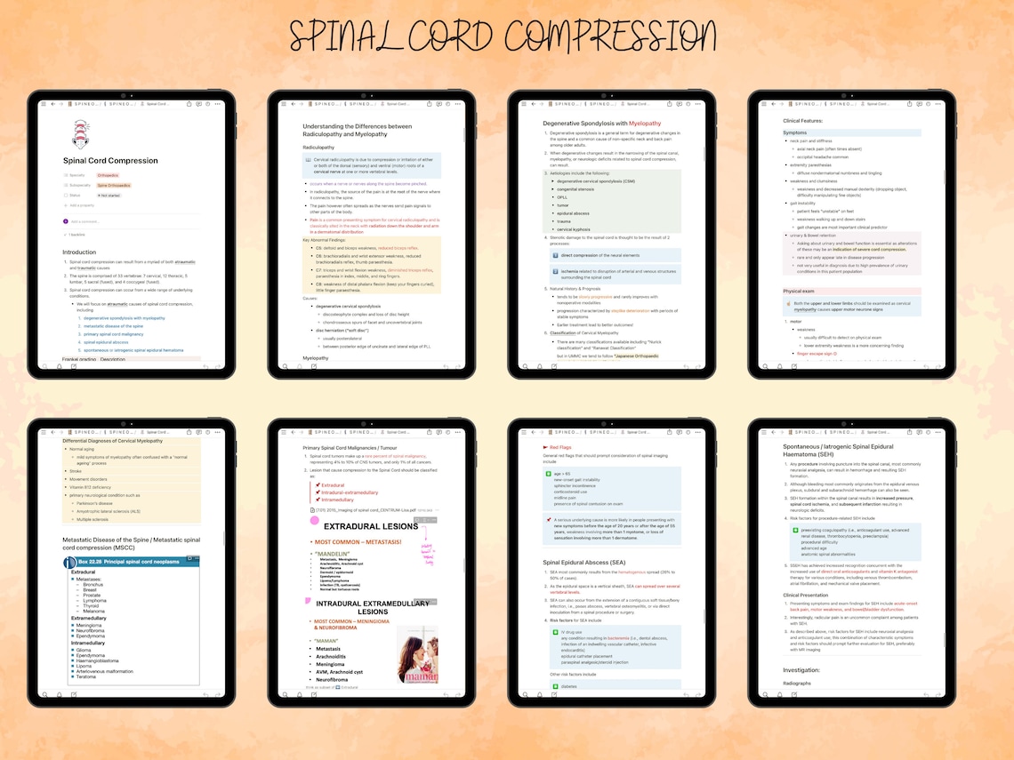 Notion Templates for Medical Students Medical Notes Digital Notes Spine ...