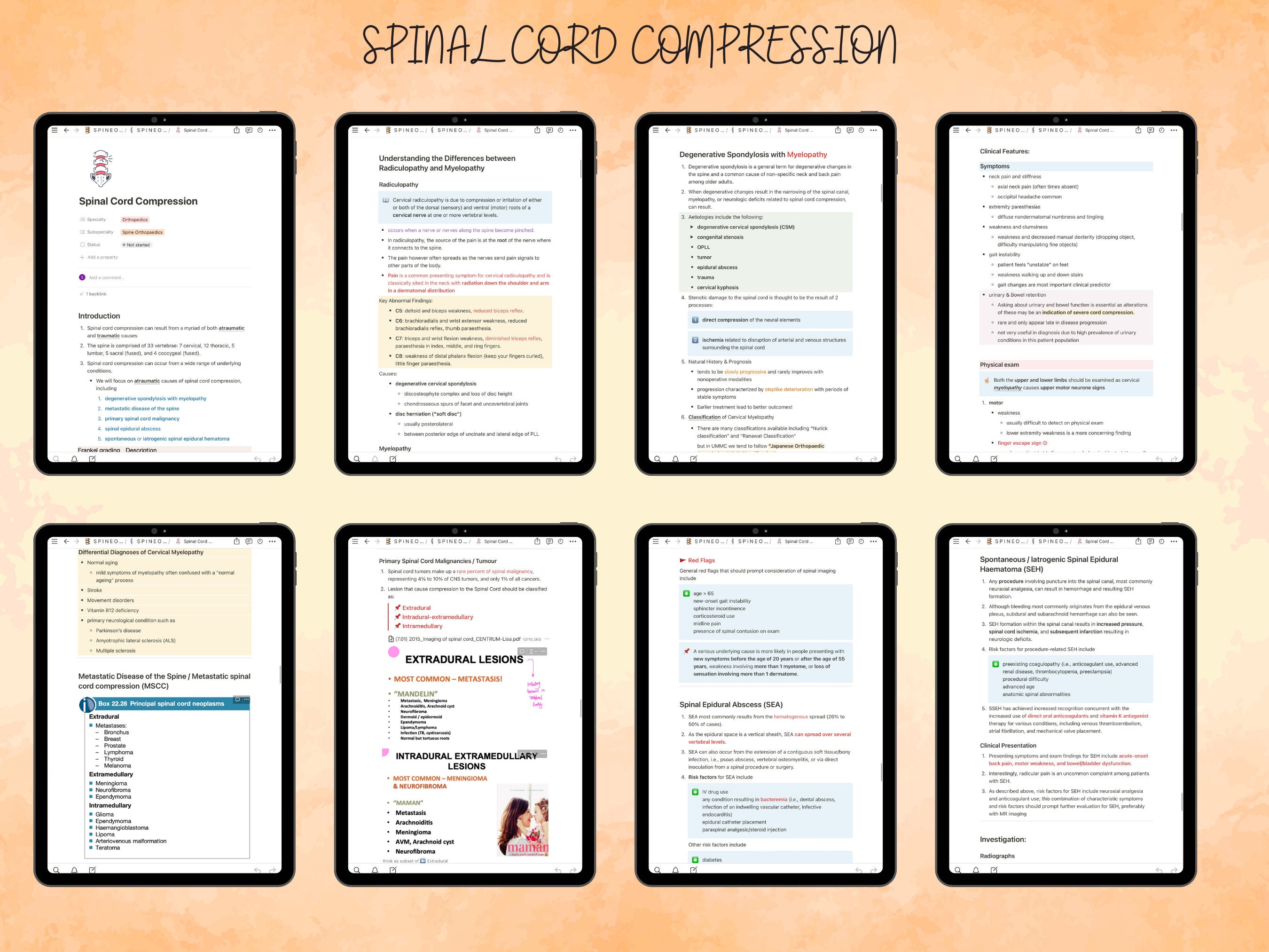 Notion Templates for Medical Students | Medical Notes | Digital Notes ...