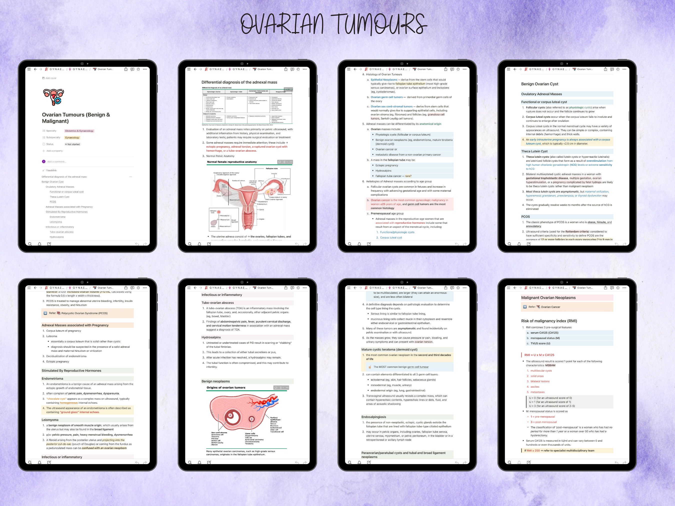 Gynaecology Notion Template: Medical Student Digital Notes (digital ...