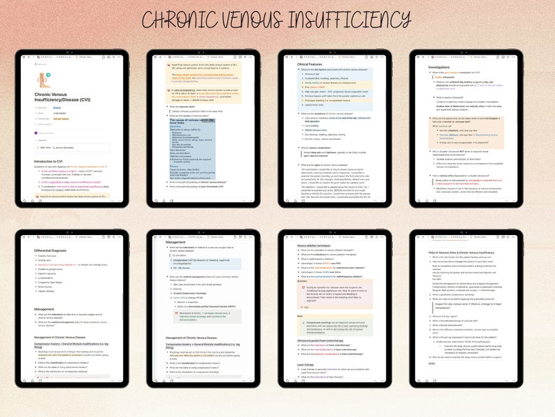 Notion Templates for Medical Students | Medical Notes | Digital Notes ...