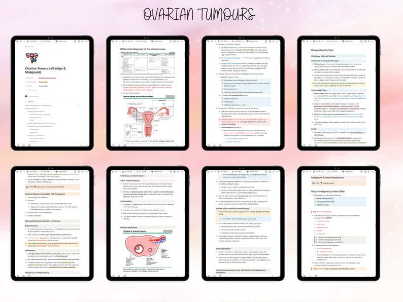 Obstetrics & Gynecology Notion Template: Medical Student Bundle ...