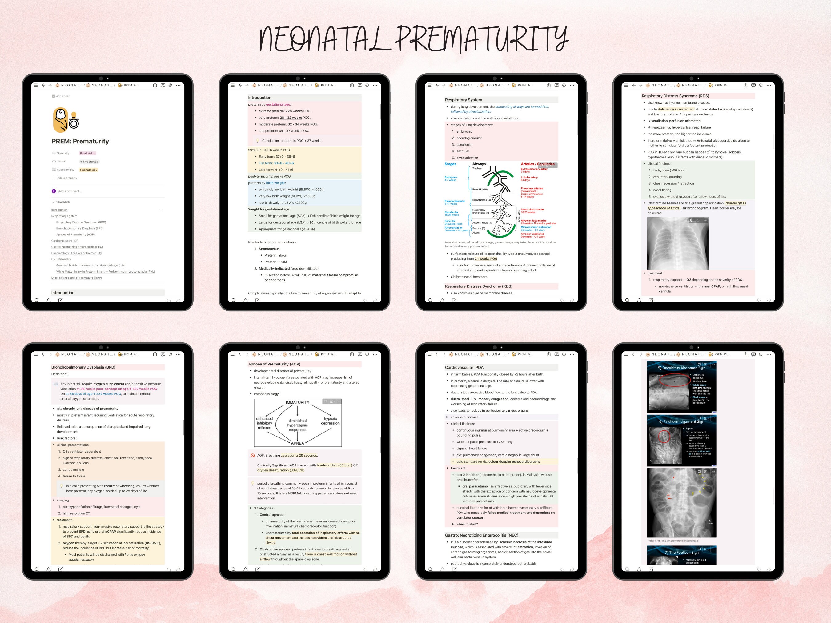 Notion Templates for Medical Students | Medical Notes | Digital Notes ...