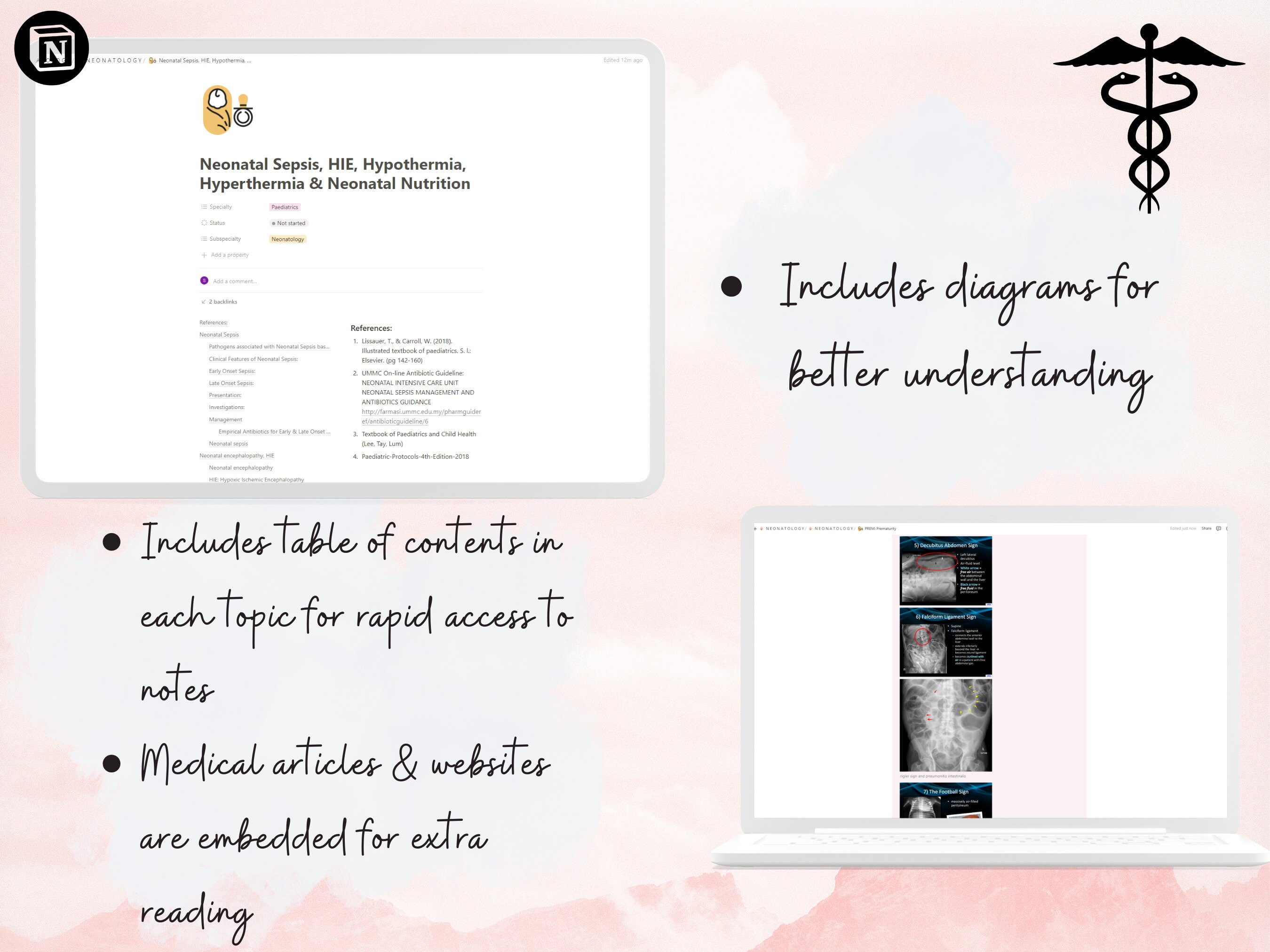 Notion Templates for Medical Students | Medical Notes | Digital Notes ...