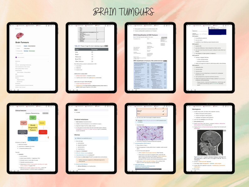 Notion Template for Medical Students Complete Bundle Notes Surgery ...